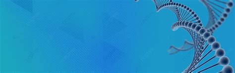 Gradually Dna Biotechnology Background