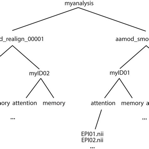 example file structure for aa output each analysis comprises output download scientific