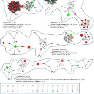 Enrichment Analysis Of 293T Derived Exosome Proteome Arrows Represent Download Scientific