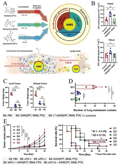 Anti Tumor Efficacy Of The Aims System A Schematic Representation Of