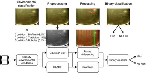 Overview Of The Proposed Four Stage Underwater Video Classification Download Scientific Diagram