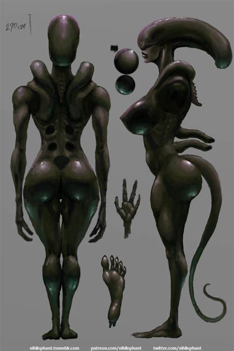 Rule 34 Alien Alien Franchise Female Female Xenomorph Feral Only Model Sheet Nihilophant