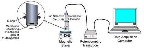 Experimental Setup For Potentiometric Biosensor Assays Download
