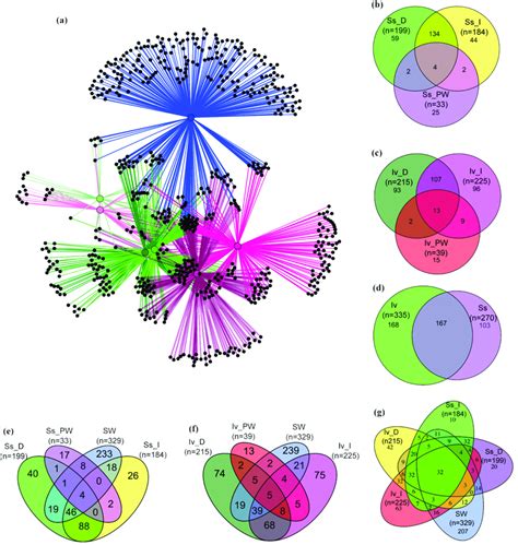 4 Bacterial Otu Networking A And Venn Diagrams B G All Otus Download Scientific Diagram