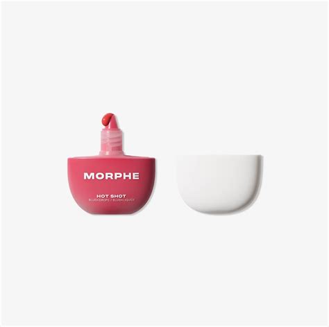 Morphe Hot Shot Blush Drops North To You