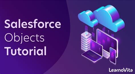 Salesforce Objects Tutorial LearnoVita