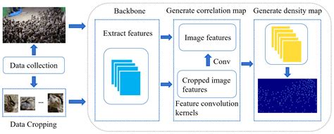 Dfccnet A Dense Flock Of Chickens Counting Network Based On Density