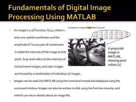 Getting Started With Matlab By Hannah Dotson Vikram Kodibagkar Laboratory Ppt