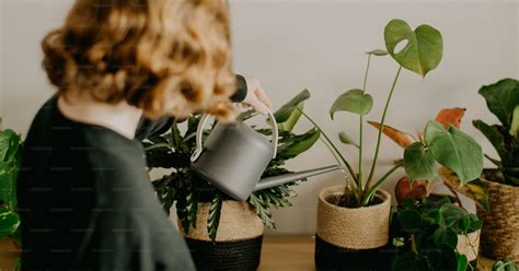 화분에 심은 탁자 앞에 서 있는 여자 사진 Unsplash의 화분 이미지