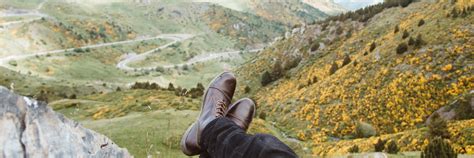 Signup Audit Assistant