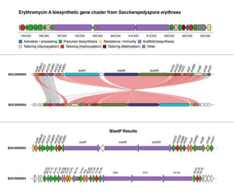 Awesome Genome Visualization