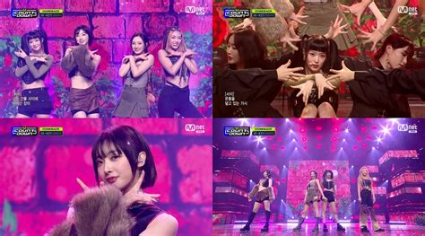 엠카 하이키 건물 사이에 피어난 장미로 화려한 컴백 전자신문