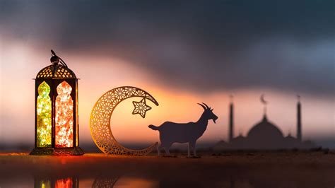 Eid Ul Adha 2025 Bakra Eid Know Date And Siginificance Of Qurbani In Hindi Amar Ujala Hindi