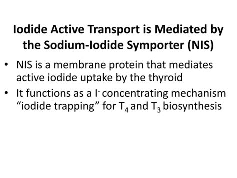 Thyroid Hormone Synthesis Ppt Thyroid Disorders Endocrine And Metabolic Diseases