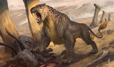 Desert Tiger Nutchapol Thitinunthakorn Arm