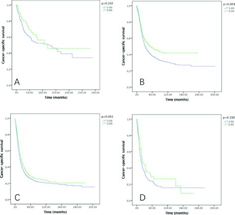 Cause Specific Survival Of Siewert Type Ii Gej Cancer Patients In