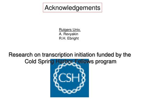Ppt Single Molecule Detection Of Dna Transcription And Replication Powerpoint Presentation