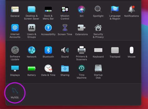 Setting Up Your Local Web Server On Macos Big Sur 1101 2020 Mamp