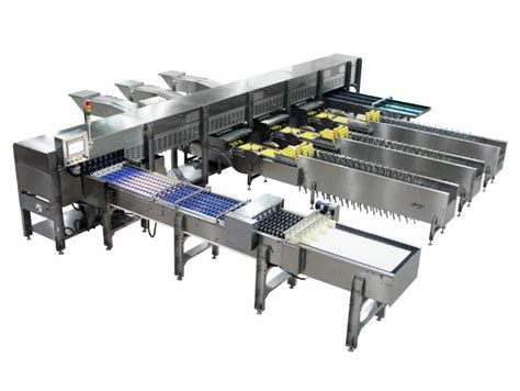 Оборудование для сортировки и упаковки яиц Упаковочное