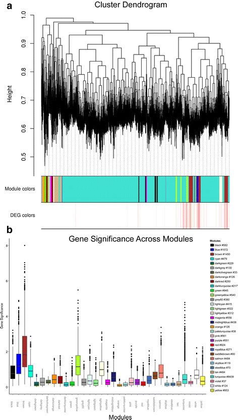 Gene Coexpression Modules And Assigned Module Colors A Clustering Download Scientific Diagram