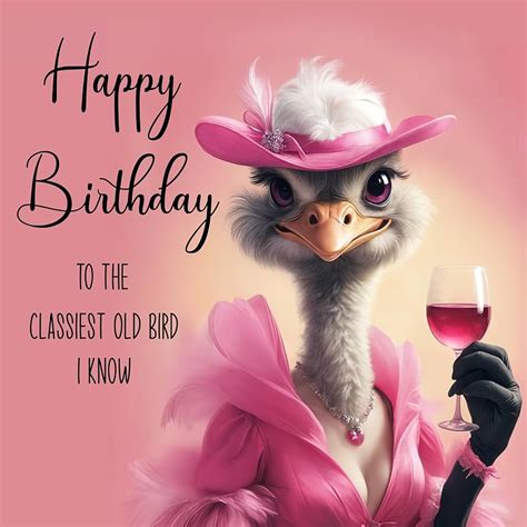 Funny Happy Birthday Cards For Women Funny Retro Card For Women