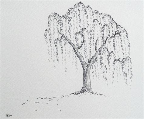 Willow Tree Sketch Pencil