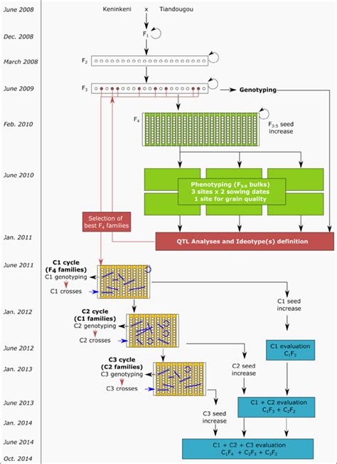 Modern Approaches For Sorghum Breeding In Mali Crop Adaptation And Improvement For Drought