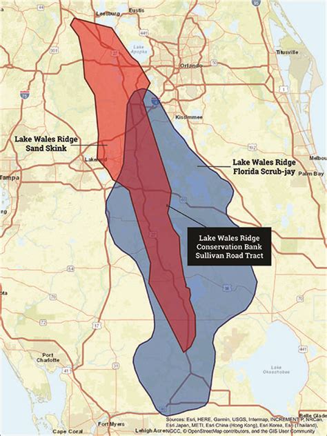 Lake Wales Ridge Conservation Banksullivan Road Tract Greensource