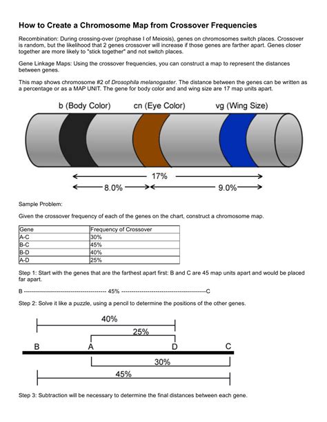 How To Create A Chromosome Map