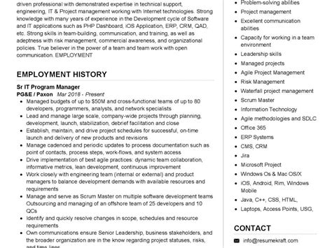 IT Program Manager Resume Example In ResumeKraft