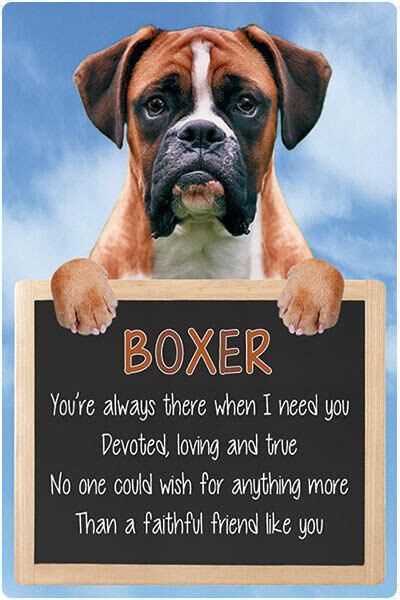 Funny Boxer Dog Quotes