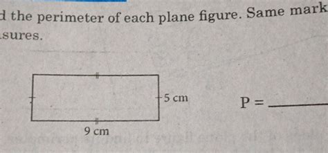 D The Perimeter Of Each Plane Figure Same StudyX