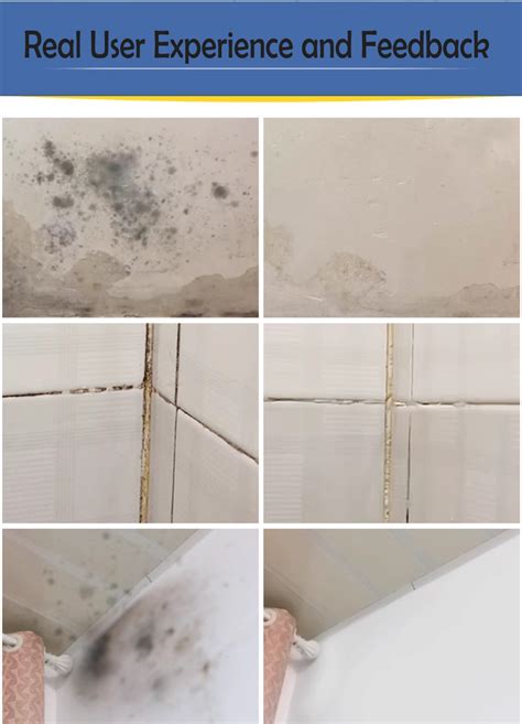 Mold Remover Spray 500ml Anti Mold Spray Wall Mold Remover Wall