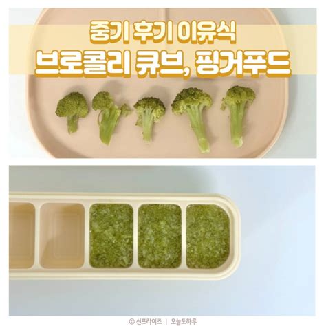 중기 후기 이유식 브로콜리 큐브 세척방법 데치기 핑거푸드 네이버 블로그