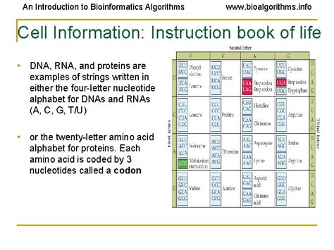 An Introduction To Bioinformatics Algorithms Bioalgorithms Info