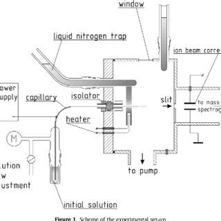 Shows The Mass Spectrum Of Negative Singly Charged Ions Of The TCA Download Scientific Diagram