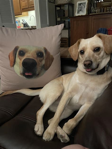 Double Blop R Blop