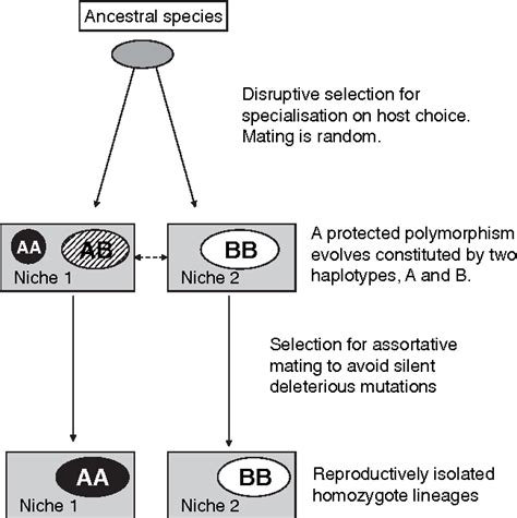 Figure 11 1 From Modelling Perception With Artificial Neural Networks Artificial Neural