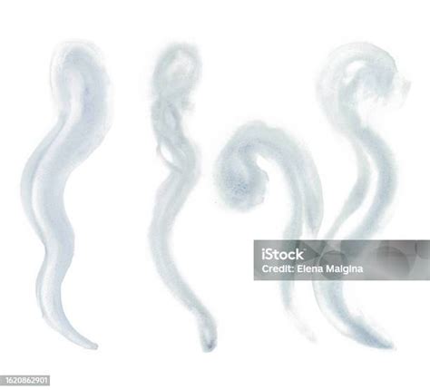 회색 반투명 연기파 컬렉션은 흰색 배경에 분리되어 있다 수채화 반투명 흐르는 증기 세트 배너 브로셔 포스터 및 웹 사이트 디자인 개체 그룹에 대한 스톡 벡터 아트 및 기타