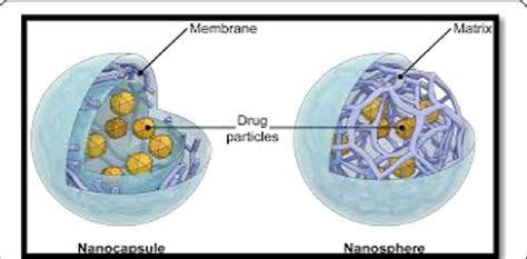 Schematic Representation Of Nanospheres And Nanocapsules 11