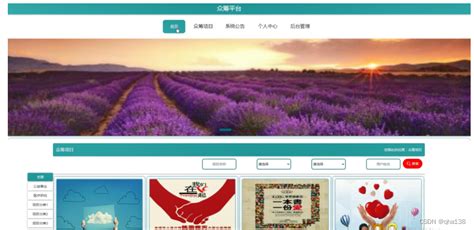 Python Django毕业设计众筹平台（程序lw Csdn博客