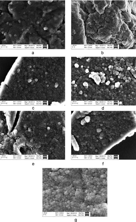 SEM Images Of Nanoparticles Of TiO 2 E SiO 2 0 A 0 5A B 0 5B Download Scientific