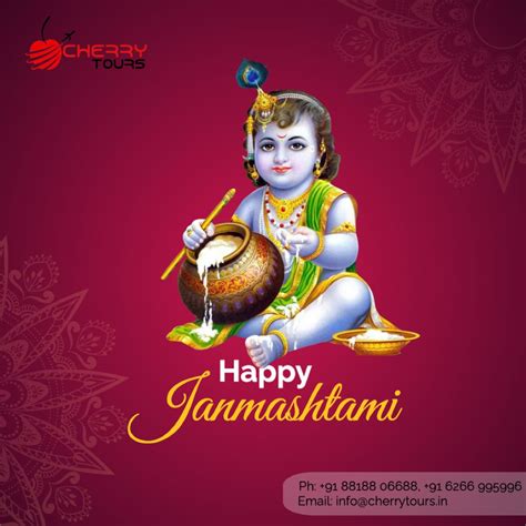 Daniya Khan On Linkedin Follow Cherry Tours