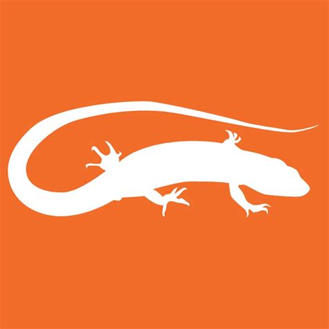Space Lizard Youtube