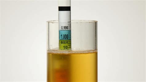 How To Read A Hydrometer Easy Comprehensive Guide For Brewing Beer
