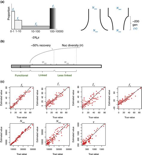 Figure 1 From Developing An Evolutionary Baseline Model For Humans Jointly Inferring Purifying