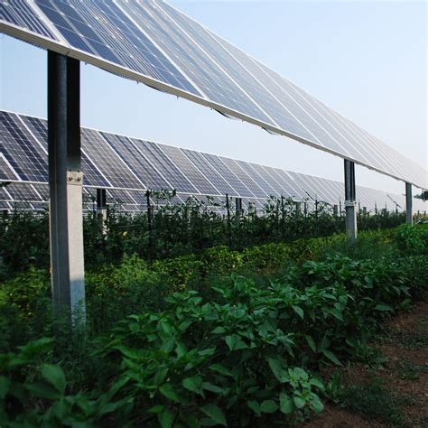 The Dezeen Guide To Solar Power
