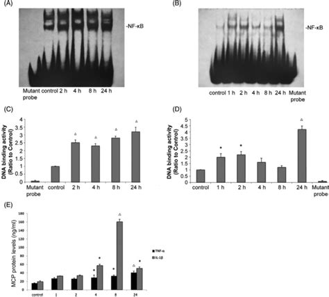 Ppar Gamma And Pgc‐1alpha Activators Protect Against Diabetic