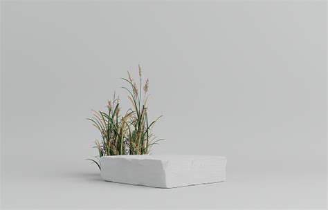 제품 연단 흰 돌 연단 단풍이 있는 흰 벽 배경 3d 일러스트레이션 0명에 대한 스톡 사진 및 기타 이미지 0명 3차원 형태 강단 Istock