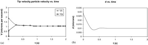Present Dynamic Calculations Coupled With The Simulation Of Download Scientific Diagram